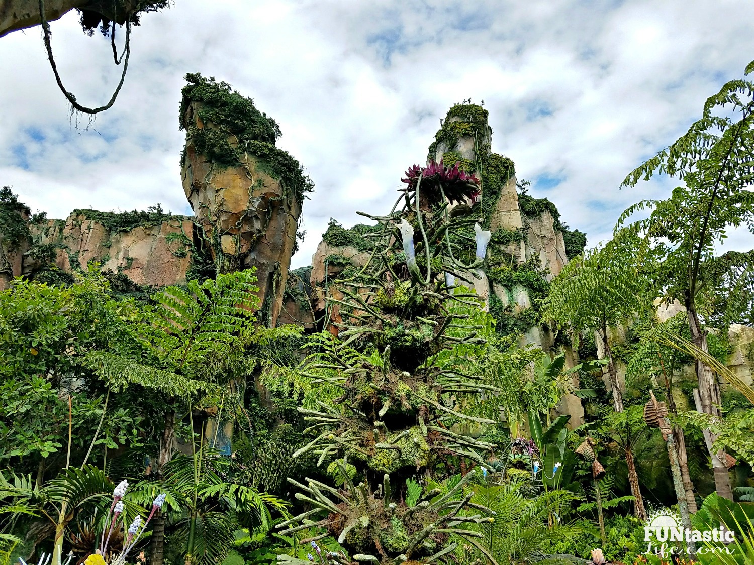Discover Pandora – The World of Avatar at Disney's Animal Kingdom ...
