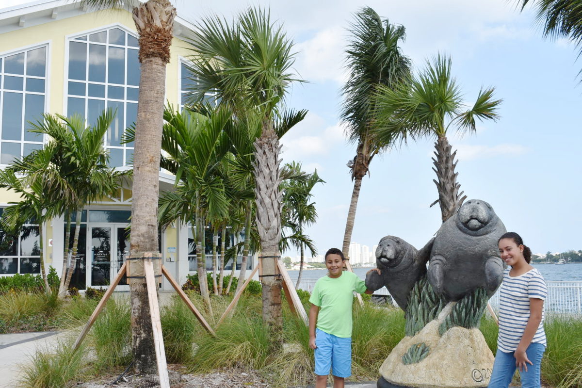 5 Things You Should Know About Manatee Lagoon - Funtastic Life