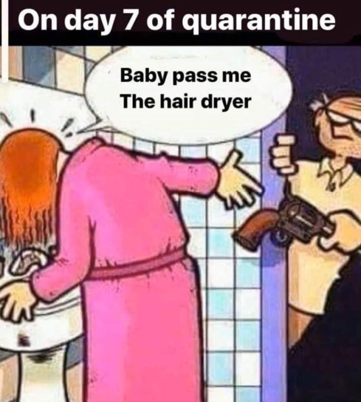 Over 50 Quarantine Memes To Make You Laugh - Funtastic Life