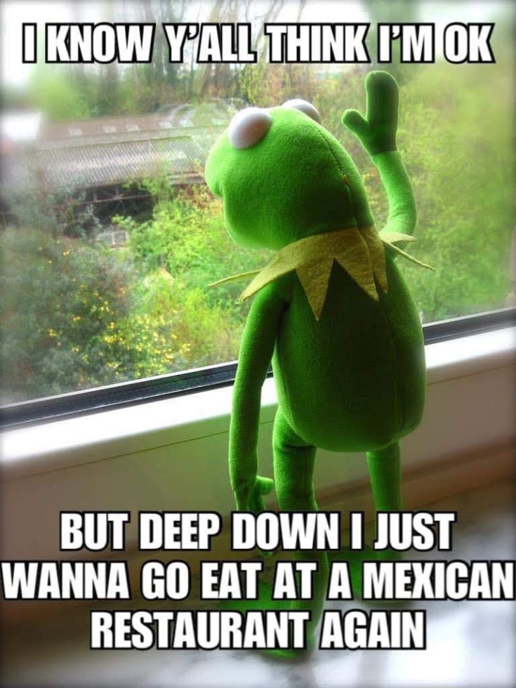 Over 50 Quarantine Memes To Make You Laugh - Funtastic Life