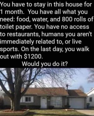 Over 50 Quarantine Memes To Make You Laugh - Funtastic Life