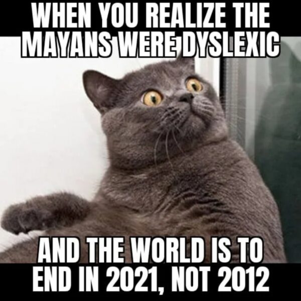 A Collection of the Funniest 2021 Memes - Funtastic Life