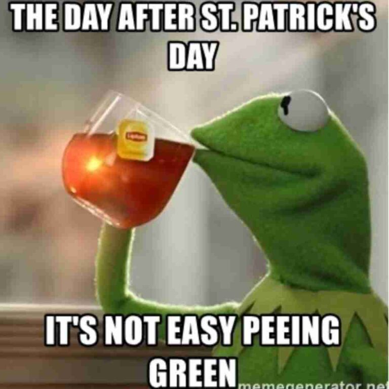 Collection of Funny St. Patrick's Day Memes - Funtastic Life