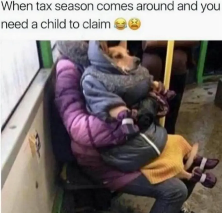 Collection of Over 55 Funny Tax Day and Tax Season Memes - Funtastic Life
