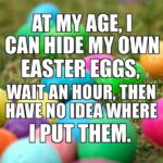 Over 100 Hilarious Easter Memes to make you laugh - Funtastic Life
