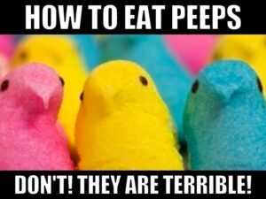 Over 100 Hilarious Easter Memes to make you laugh - Funtastic Life